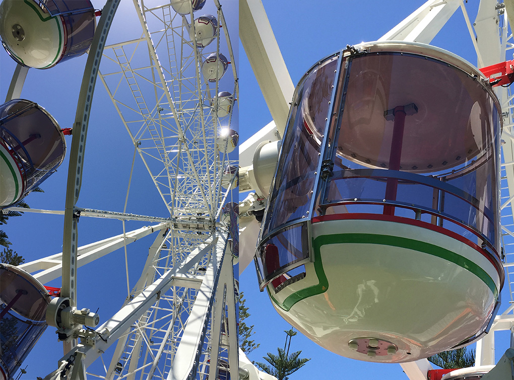 The Reef Eye - Westshell Wheels