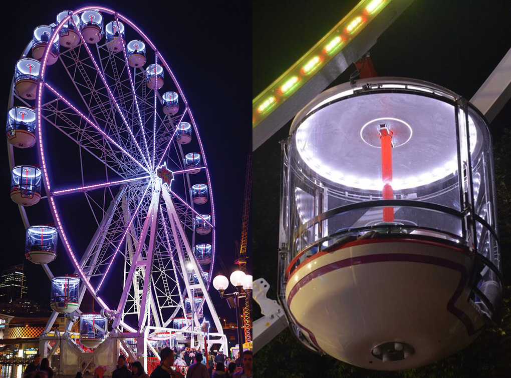 The Reef Eye - Westshell Wheels