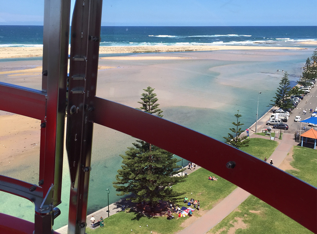 The Reef Eye - Westshell Wheels